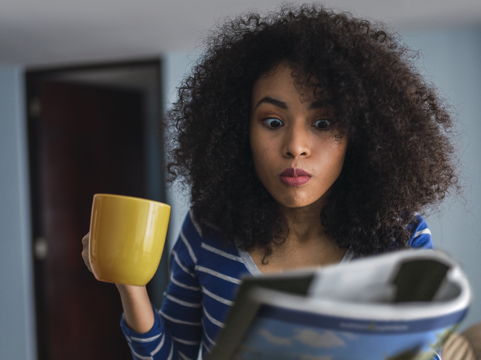 Spring Offers 2022 | Barfoot & Thompson