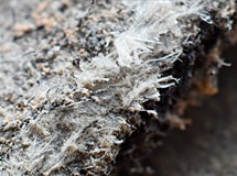 Asbestos Fact Sheet | Barfoot & Thompson